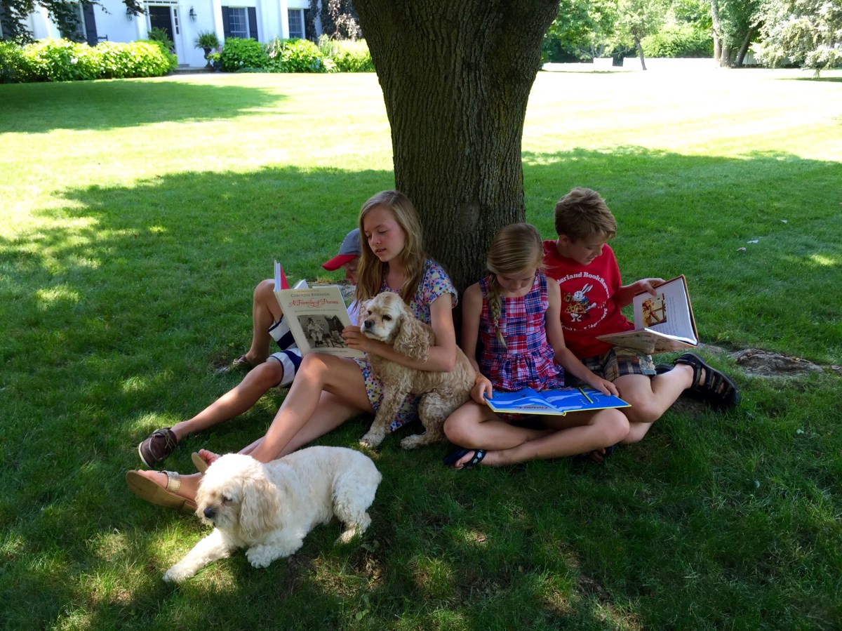 One Book: One World | Wonderland BookSavers